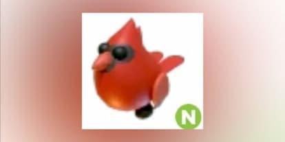 Beli Item Adopt Me Red Cardinal Neon Roblox Terlengkap dan Termurah ...