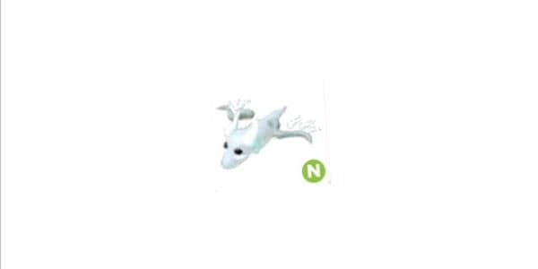 Beli Item Adopt Me Neon Ghost Dragon Roblox Terlengkap dan Termurah ...